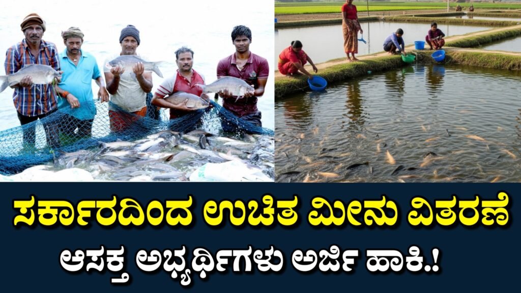 Fish ಉಚಿತ ಮೀನು ಮರಿ ವಿತರಣೆ.! - Sarkari Mahithi