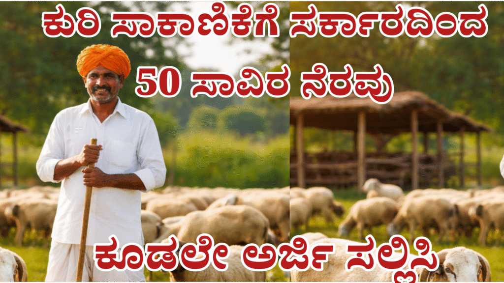 Amrutha swabimani scheme ಕುರಿ ಸಾಕಾಣಿಕೆಗೆ ರಾಜ್ಯ ಸರ್ಕಾರದ ಭರ್ಜರಿ ಸಹಾಯ ...